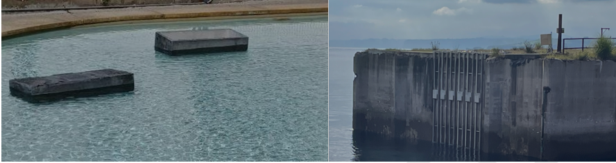 The MAREWIND project as leader towards a more sustainable and circular ...